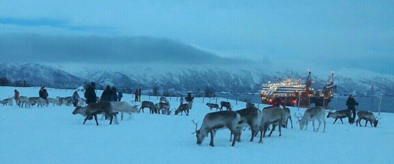 5 razones para viajar a Tromso en invierno - Romy por el Perú y el Mundo