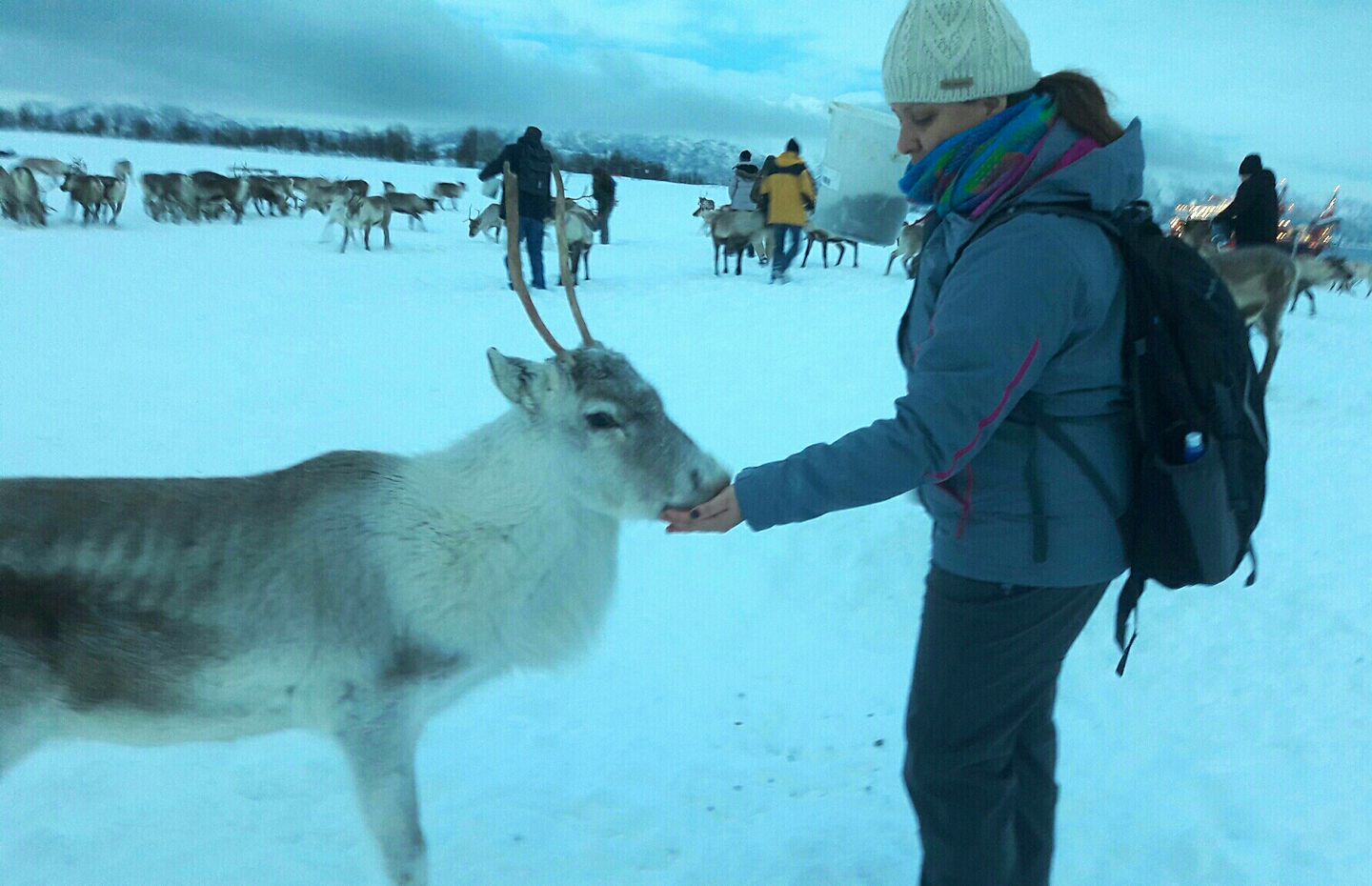 5 razones para viajar a Tromso en invierno - Romy por el Perú y el Mundo